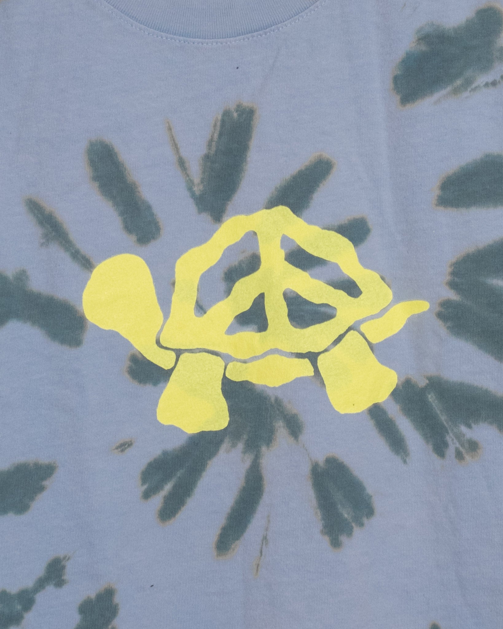 KIDS PEACE TURTLE tee - blue – Extra Vitamins
